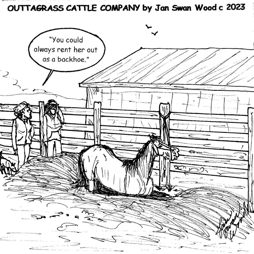 Outtagrass Cattle Co. cartoon by Jan Swan Wood | TSLN.com
