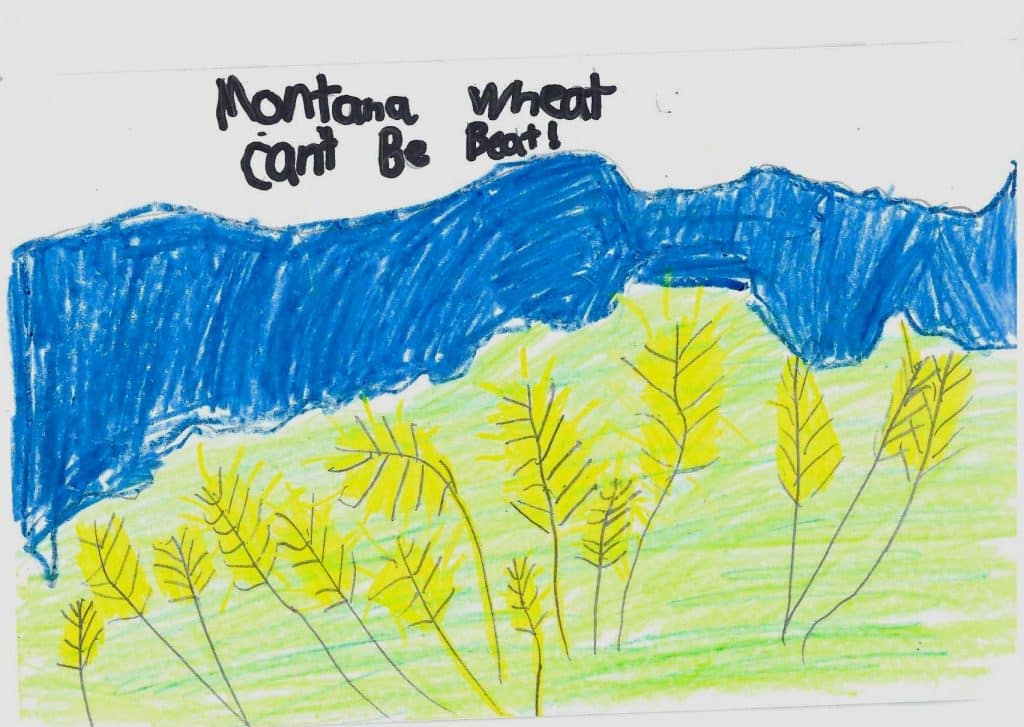 Winners Of Montana Ag In Color Drawing Contest Announced