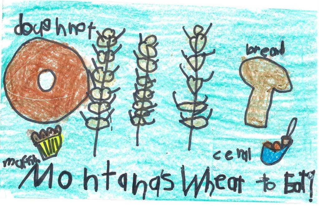 Winners Of Montana Ag In Color Drawing Contest Announced