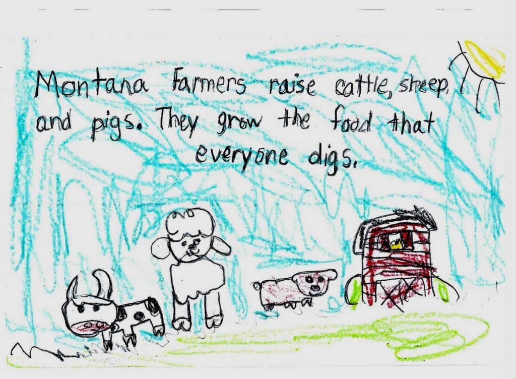 Winners Of Montana Ag In Color Drawing Contest Announced