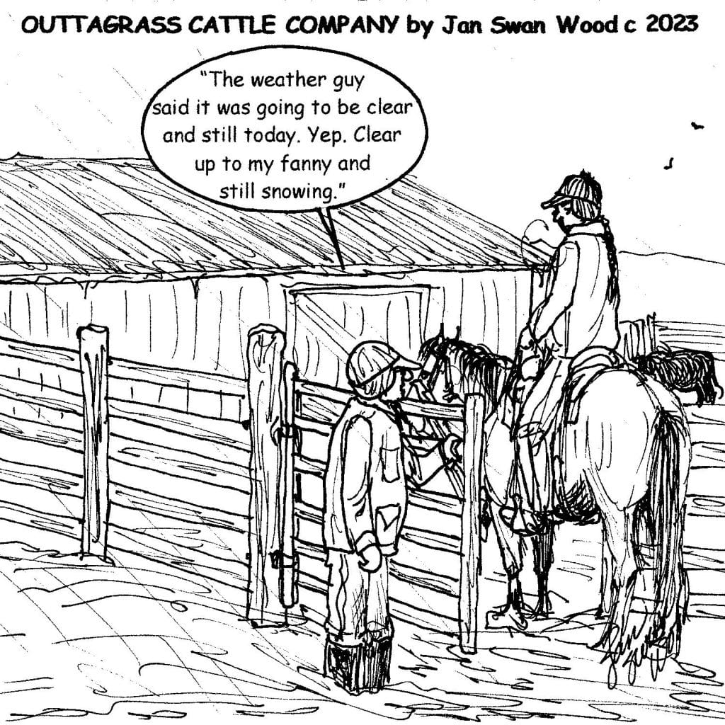 Outtagrass Cattle Co cartoon by Jan Swan Wood | TSLN.com