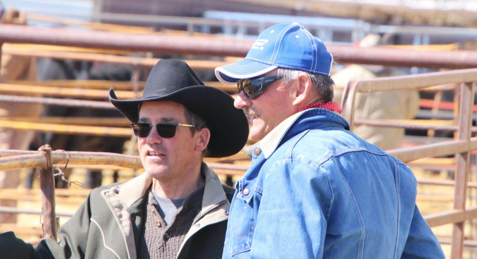 Littau Angus Ranch Annual Bull Sale | TSLN.com