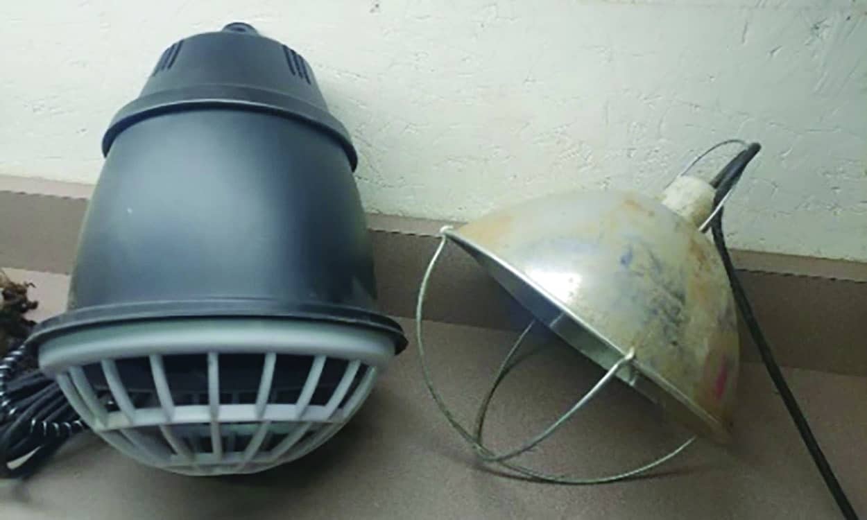 Electrical Safety in the Barn | TSLN.com