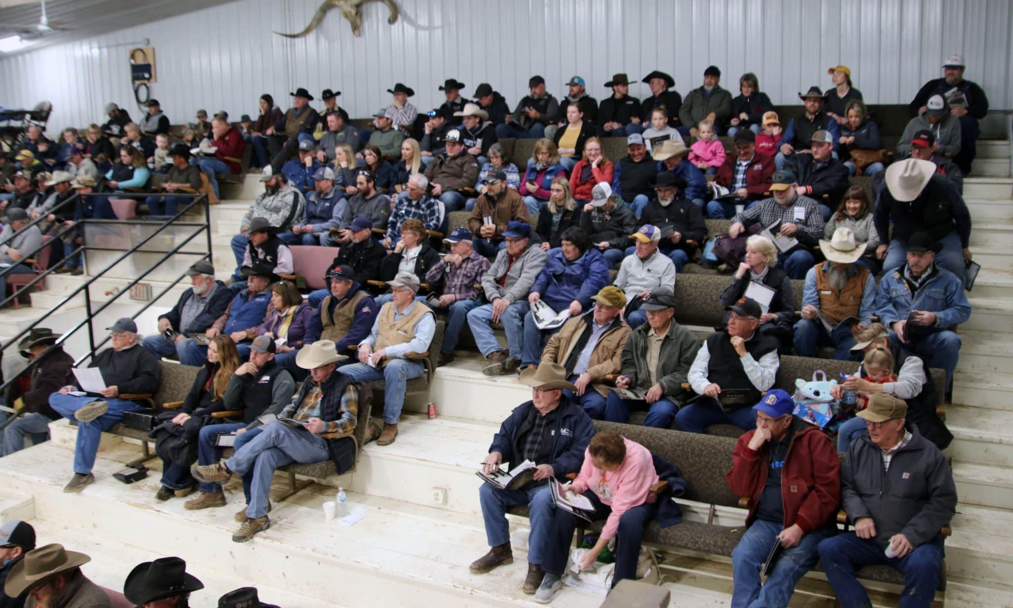 Deep Creek Angus Ranch 24th Annual Bull Sale | TSLN.com