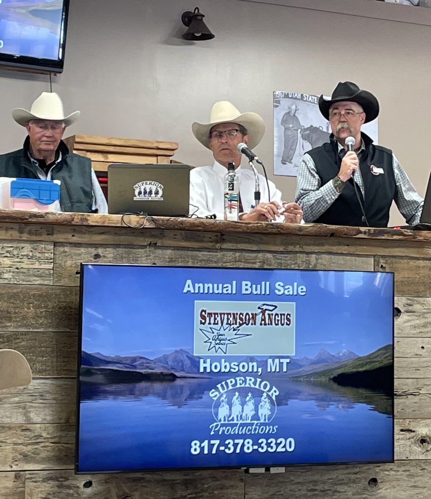 Stevenson Angus Annual Spring Bull Sale | TSLN.com
