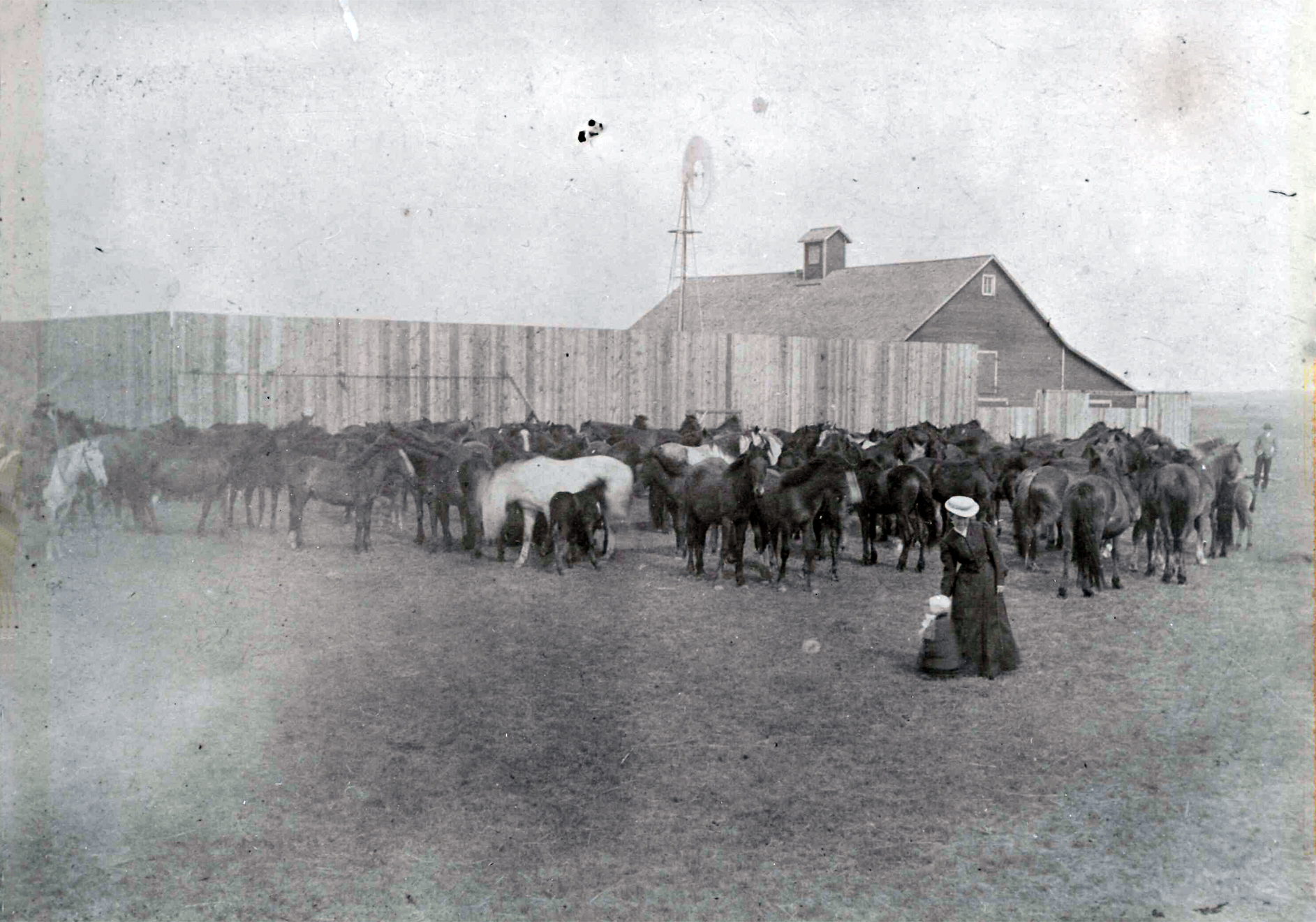 A Ranching Legacy: The Fortier Family | TSLN.com