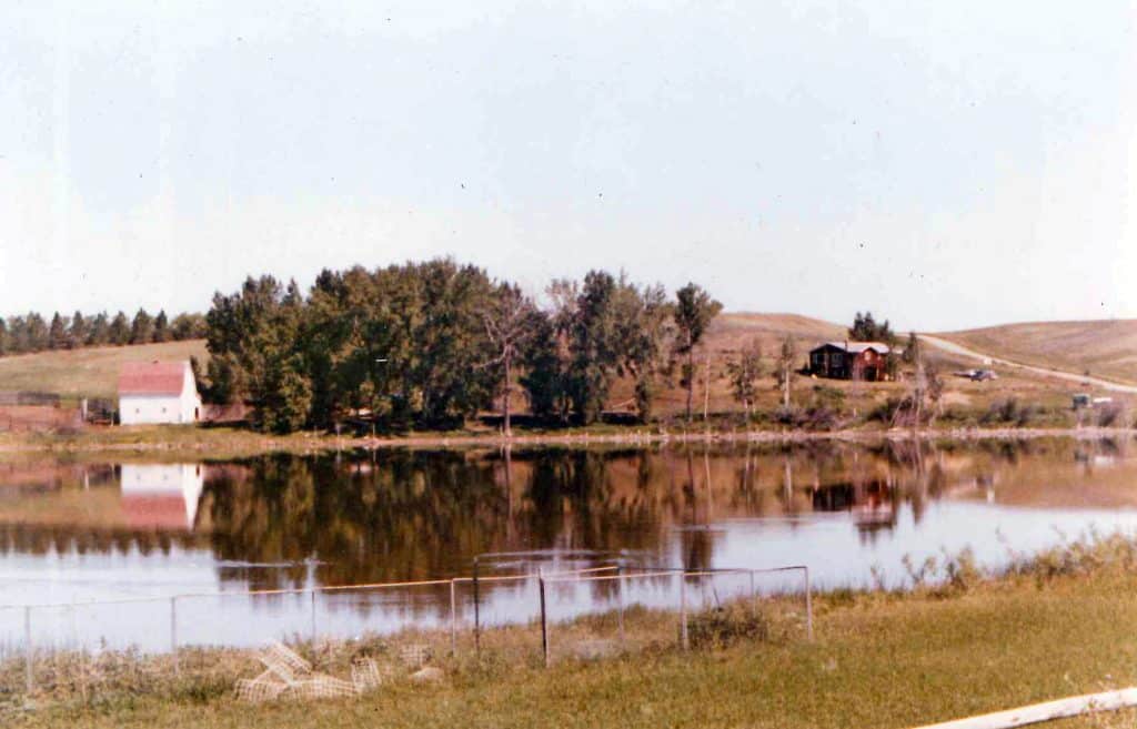 A Ranching Legacy: The Fortier Family | TSLN.com
