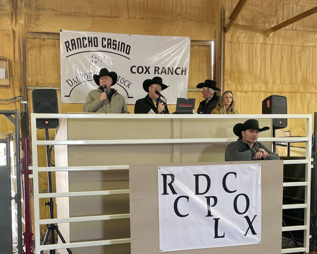 Dal Porto Livestock/ Rancho Casino/Cox Ranch Bull Sale | TSLN.com