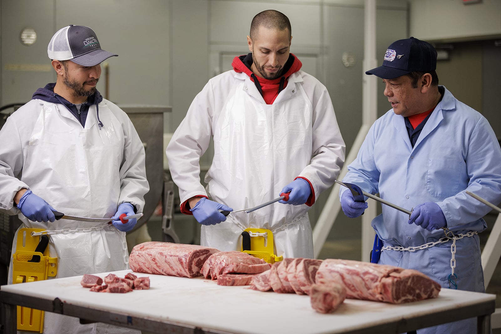 Exit here for South Dakota meat: Wall Meat Processing plans facility in ...