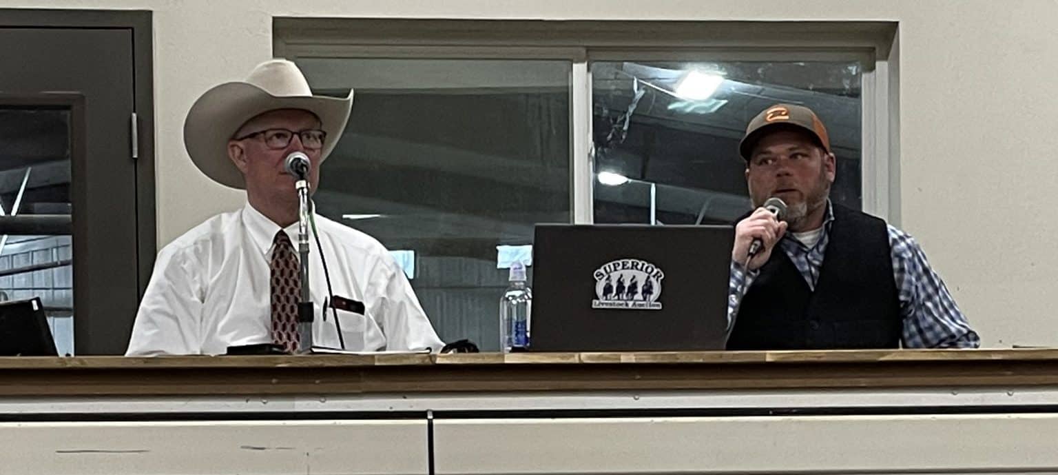 JC Heiken Angus & Sons | TSLN.com