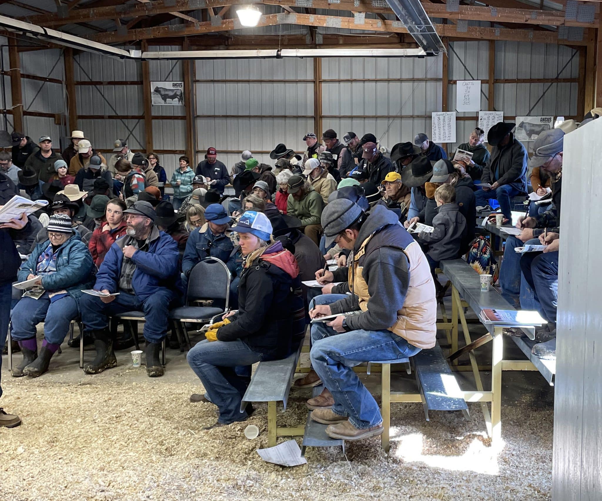 Reyes/ Russell Angus Bull Sale | TSLN.com