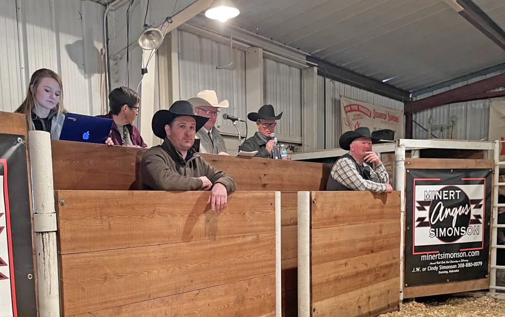 Sandhills Source Minert- Simonson Angus / Feller Ranch Co. | TSLN.com