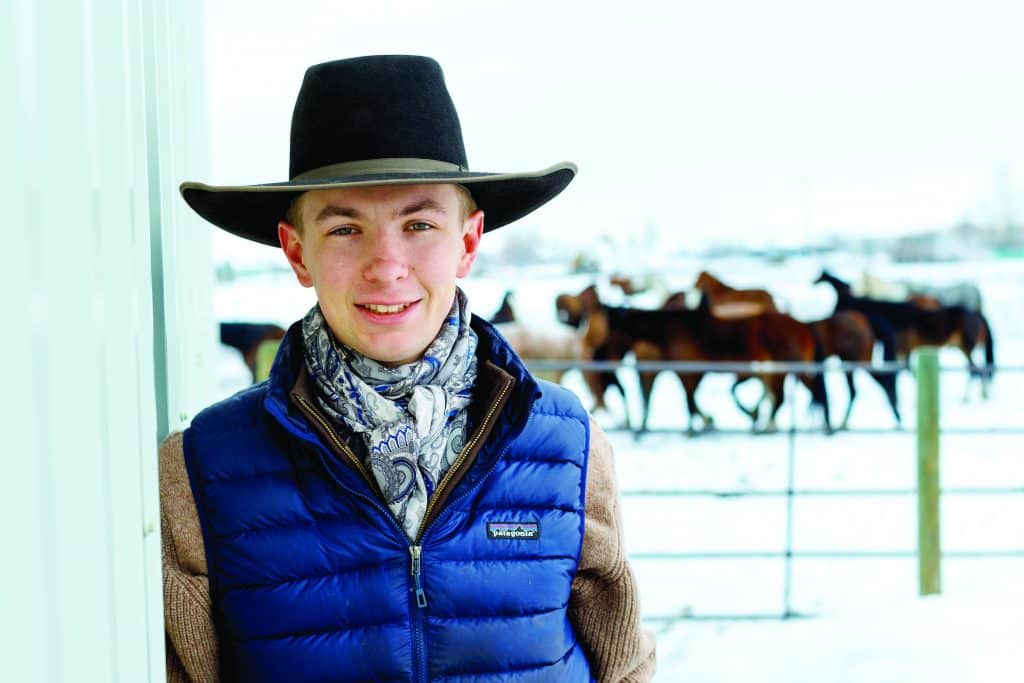 Montana State’s new ranching systems degree prepares students for post ...