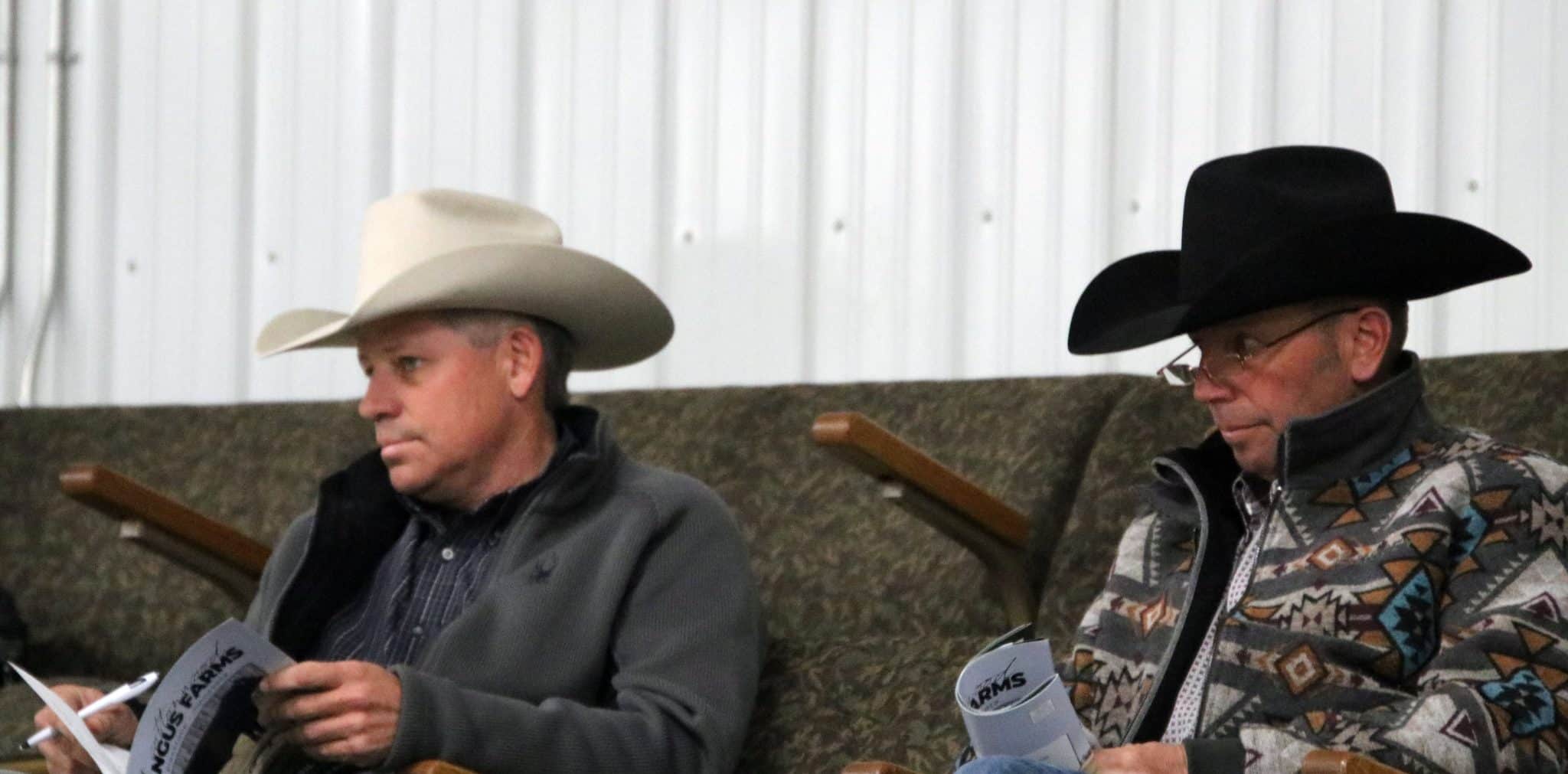 Cottonwood Angus Farms 52nd Annual Profit Makers Bull Sale | TSLN.com