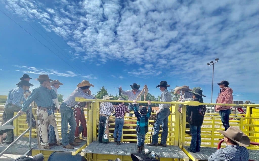 Cowboy Great: S.D. cowboy inducted into National Western Heritage ...