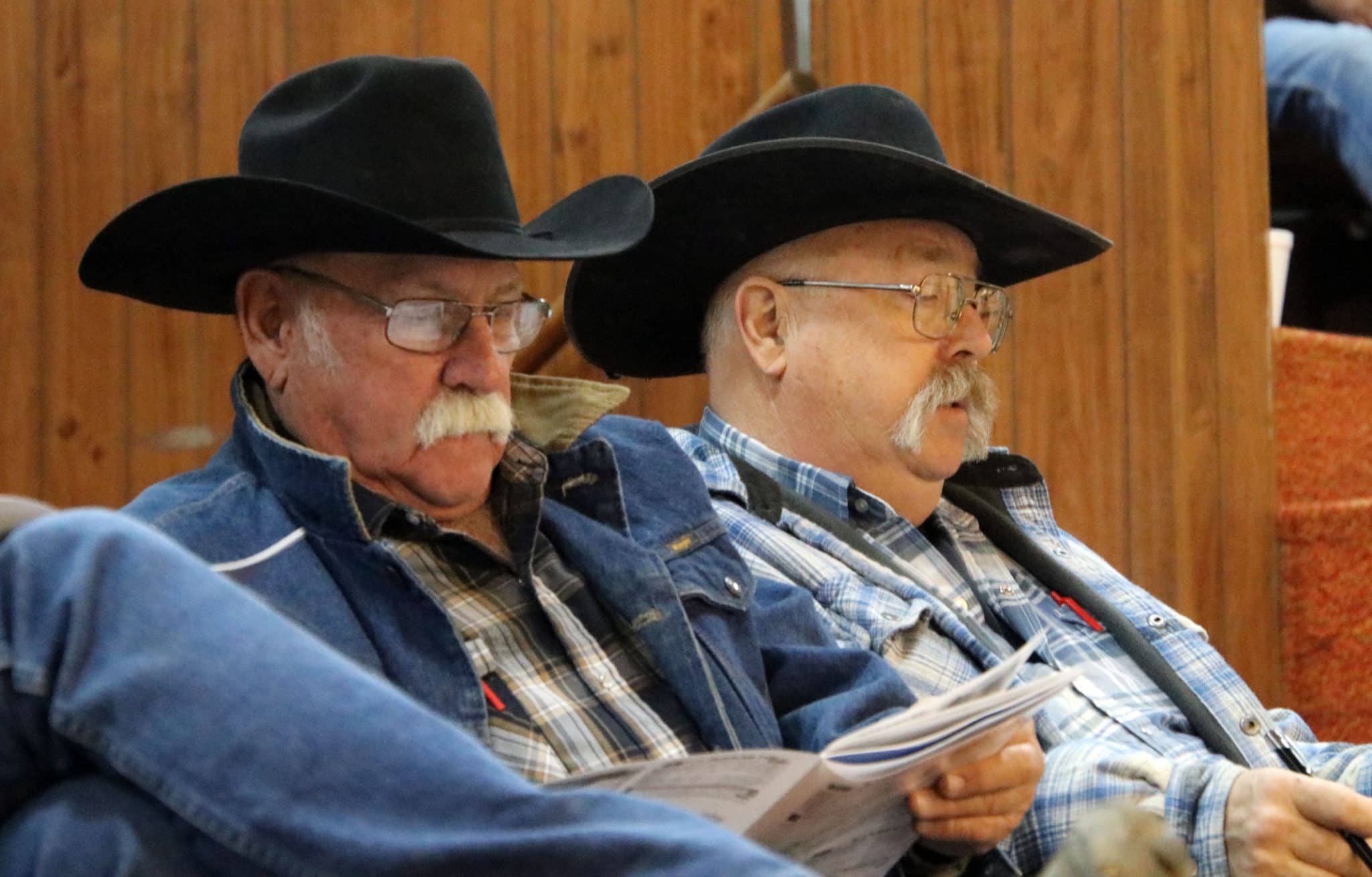 Ma & Pa Angus Bull Sale | TSLN.com