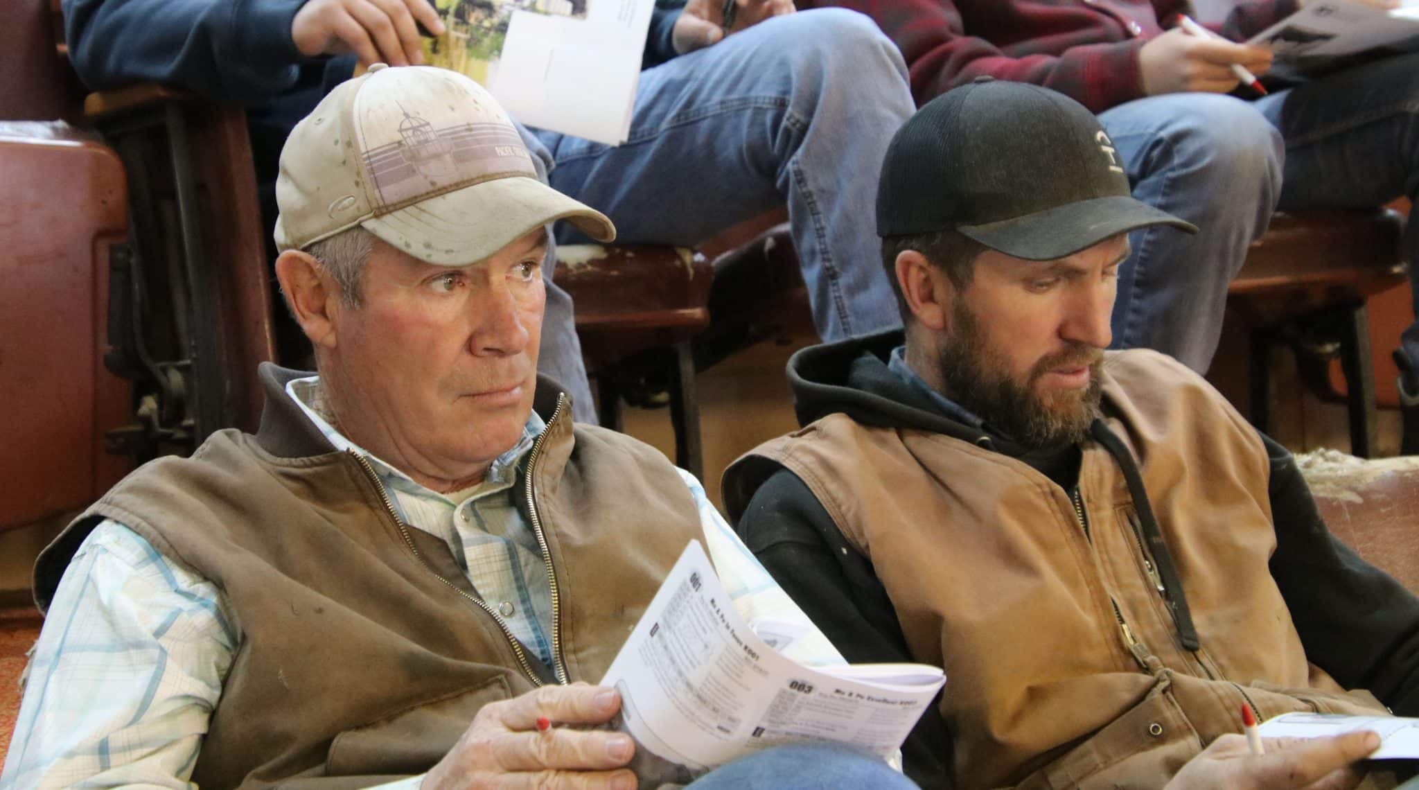 Ma & Pa Angus Bull Sale | TSLN.com