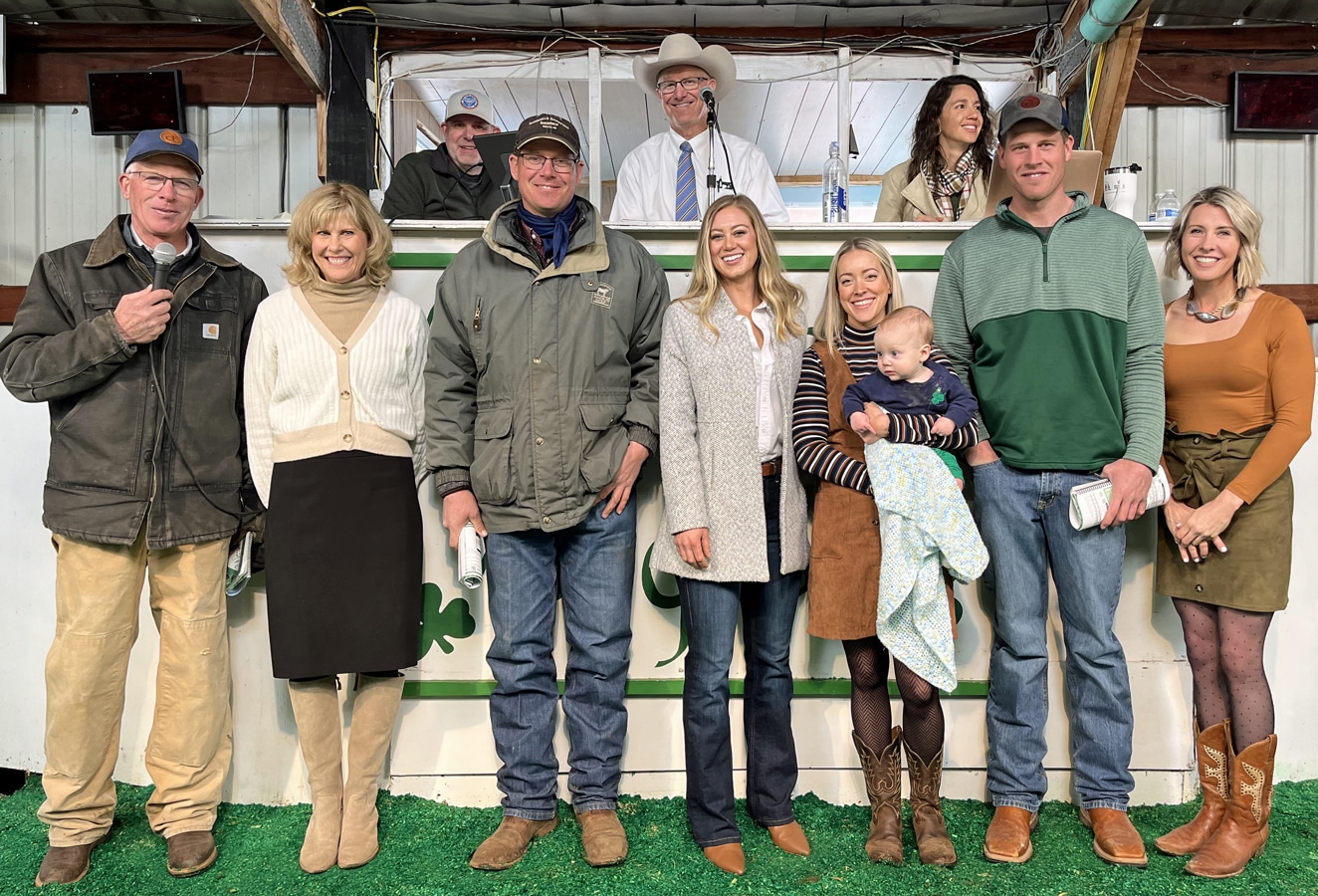 Connealy Angus Spring Bull Sale | TSLN.com