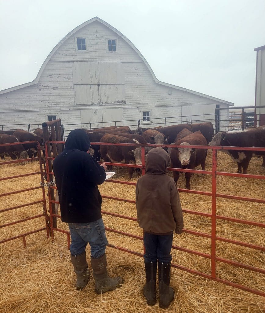 Thorstenson Hereford Ranch Production Sale | TSLN.com