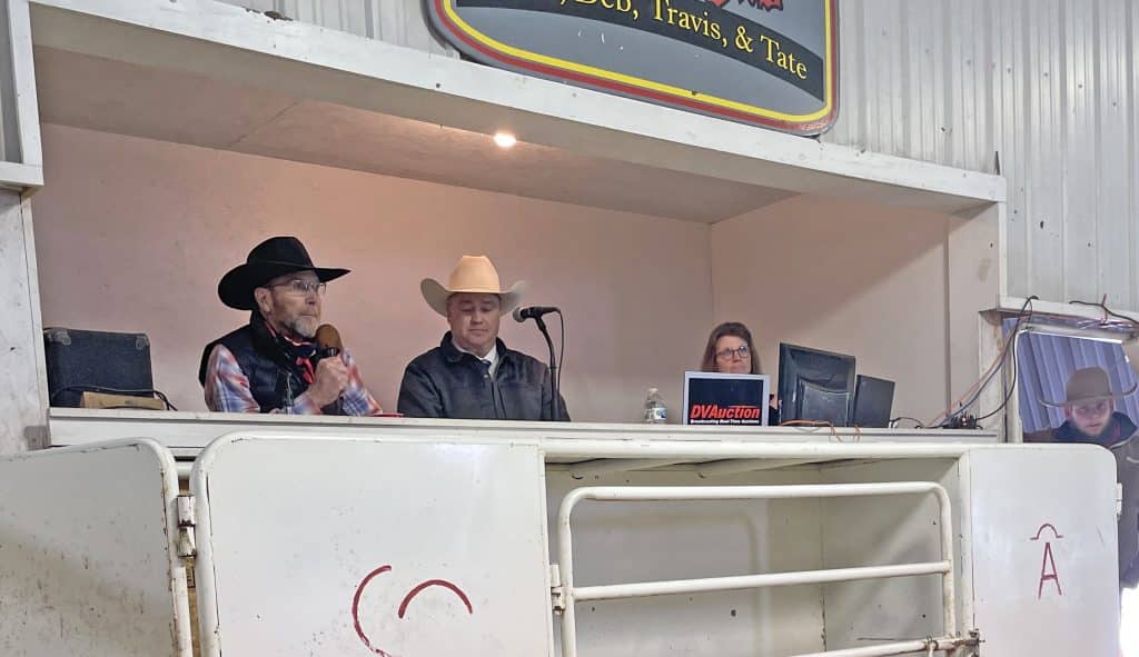 Pieper Red Angus 33rd Annual Performance Leaders Production Sale | TSLN.com