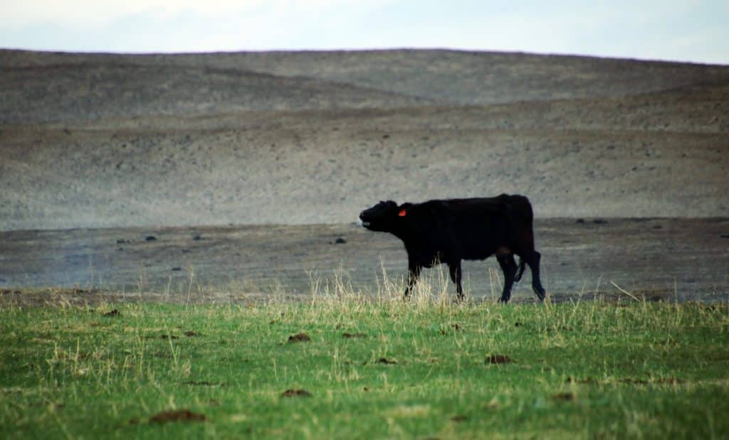Wind fanned the flames: Nebraska Cooksley Complex Fire | TSLN.com