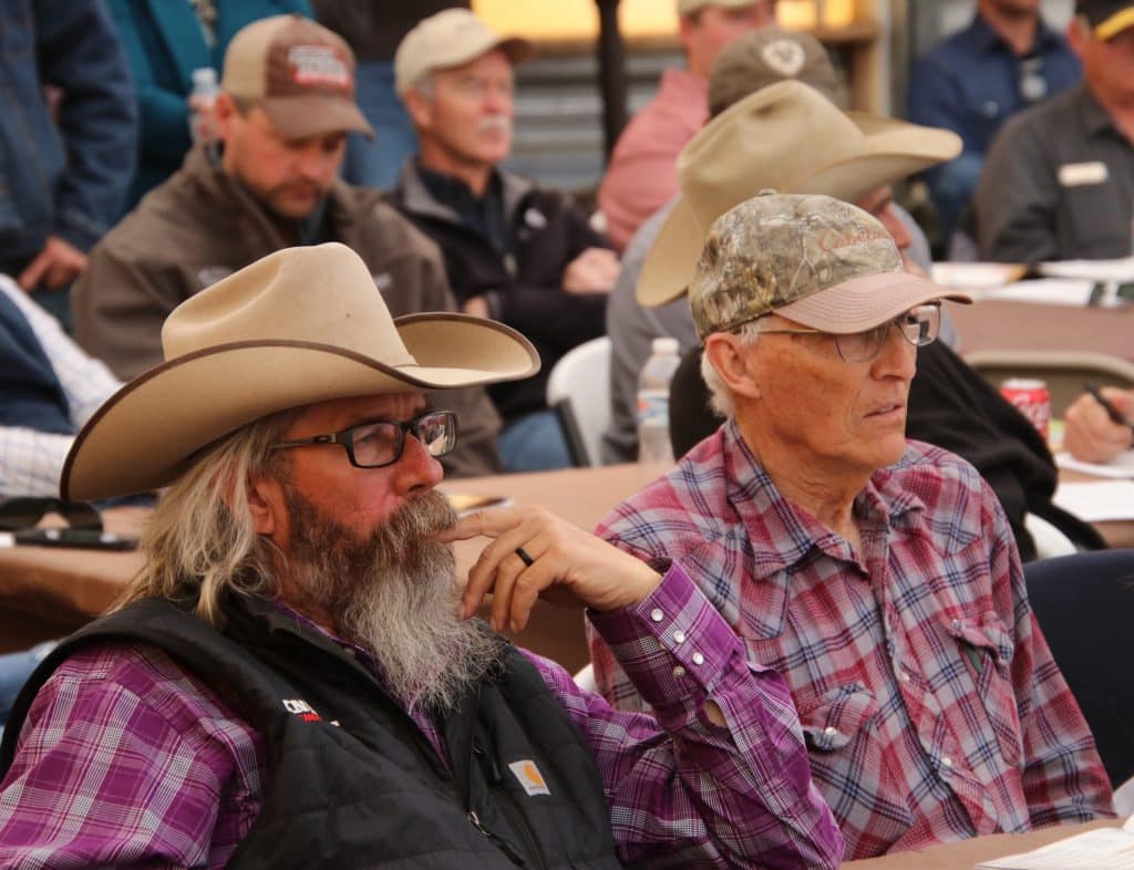 Schaack Ranch Angus Bull Sale | TSLN.com