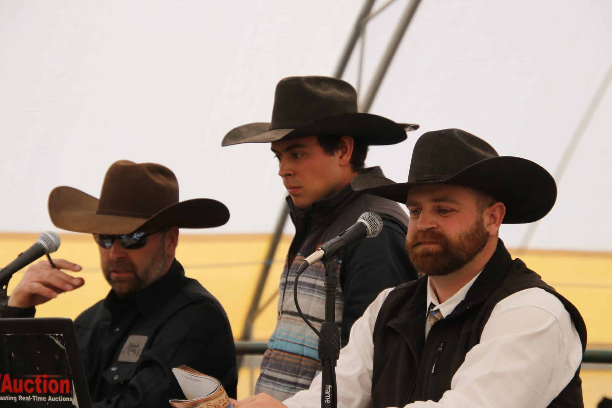 Schaack Ranch Angus Bull Sale | TSLN.com