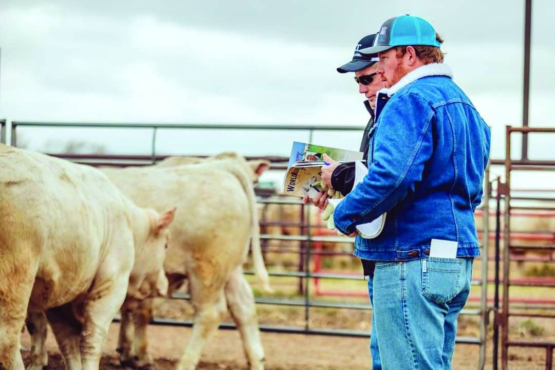 Lindskov LT Ranch 42nd Annual Charolais & Angus Bull Sale | TSLN.com