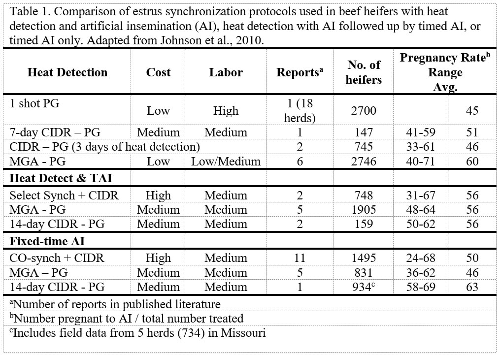 Options For Estrus Synchronization This Breeding Season