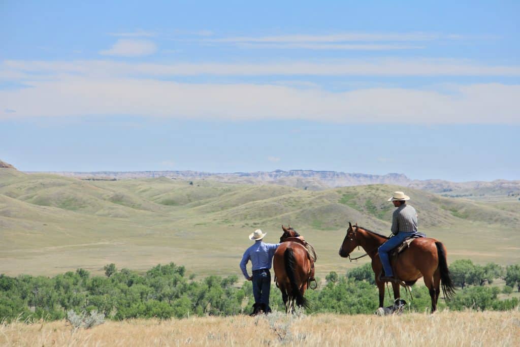 Range Roundup: SDSU seeking producer participation for precision ...