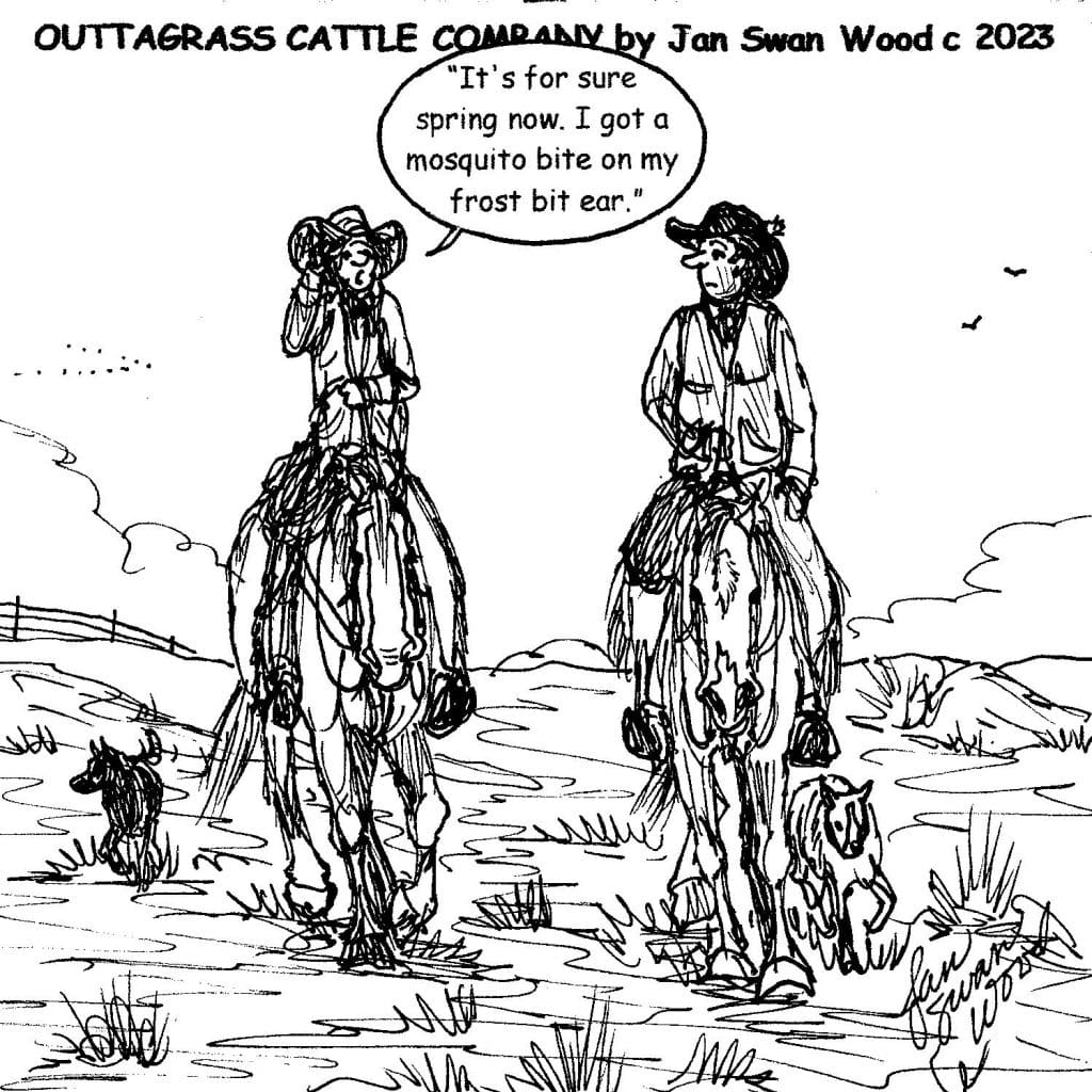 Outtagrass Cattle Co. cartoon by Jan Swan Wood | TSLN.com