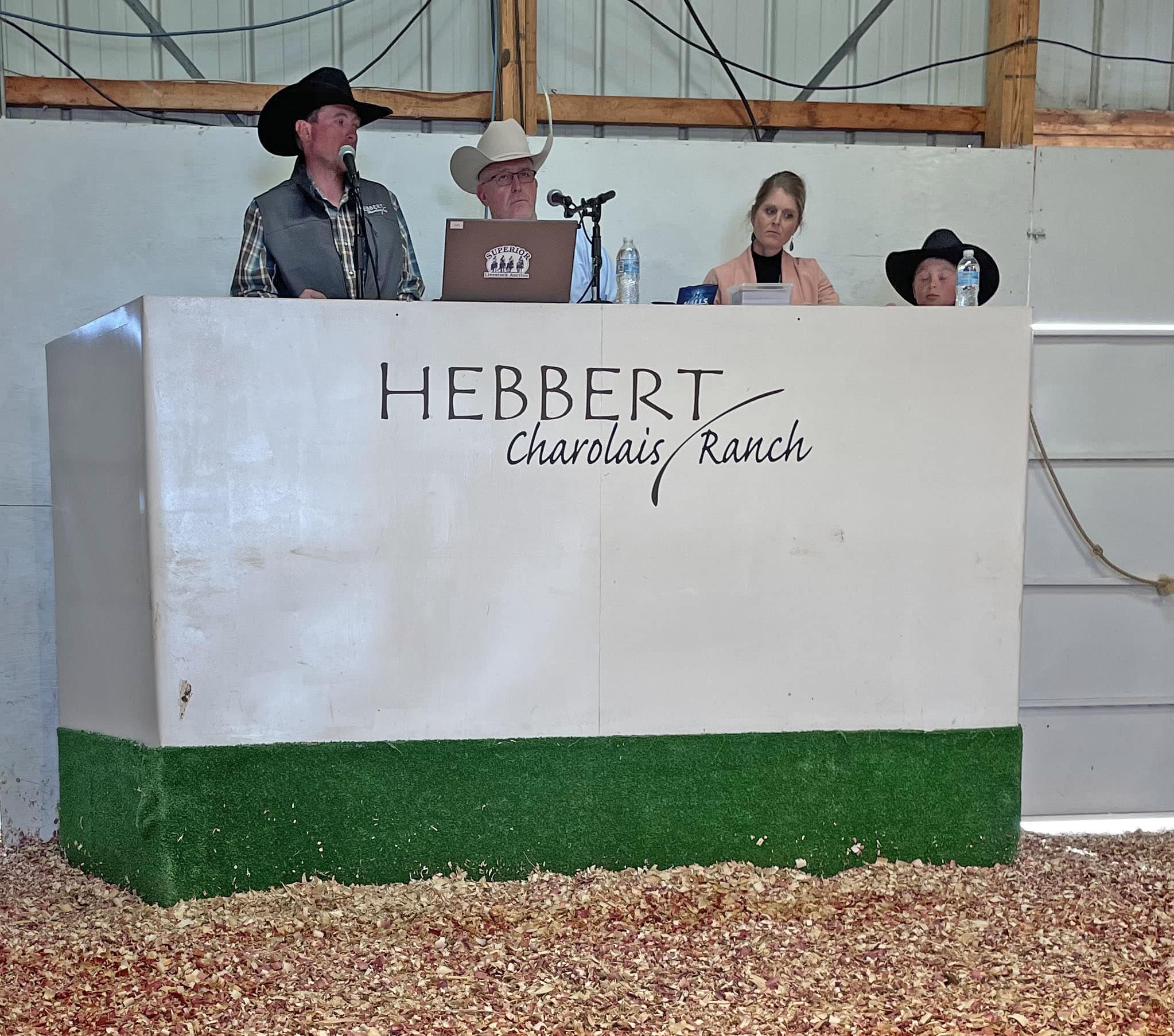 Hebbert Charolais Ranch 41st Annual Bull Sale | TSLN.com