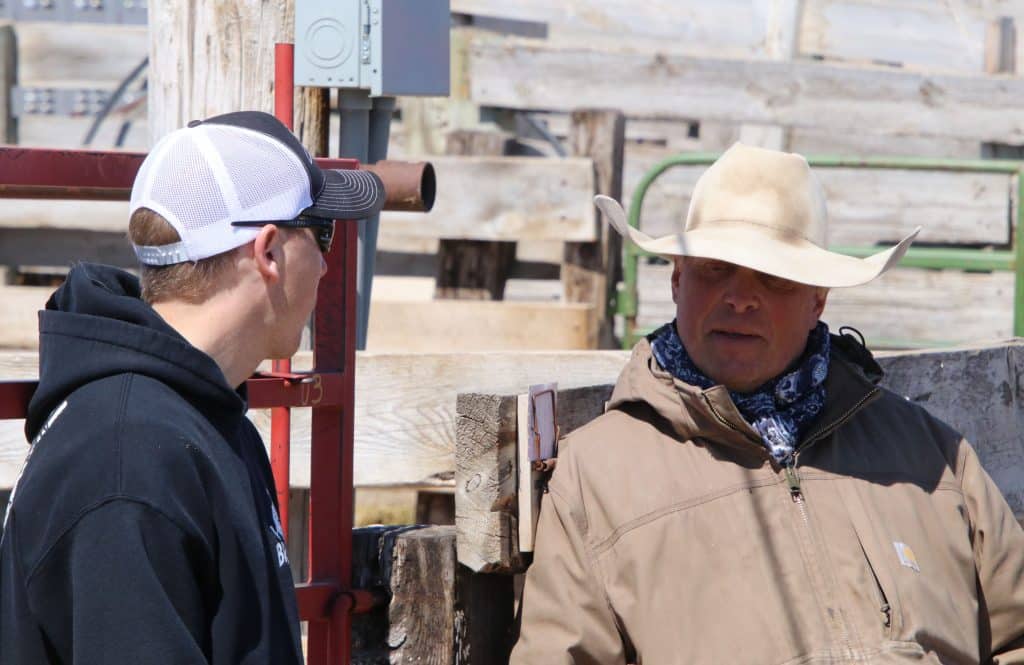 CK Bar Ranch 22nd Annual Bull Sale with guest TCM Simmentals | TSLN.com
