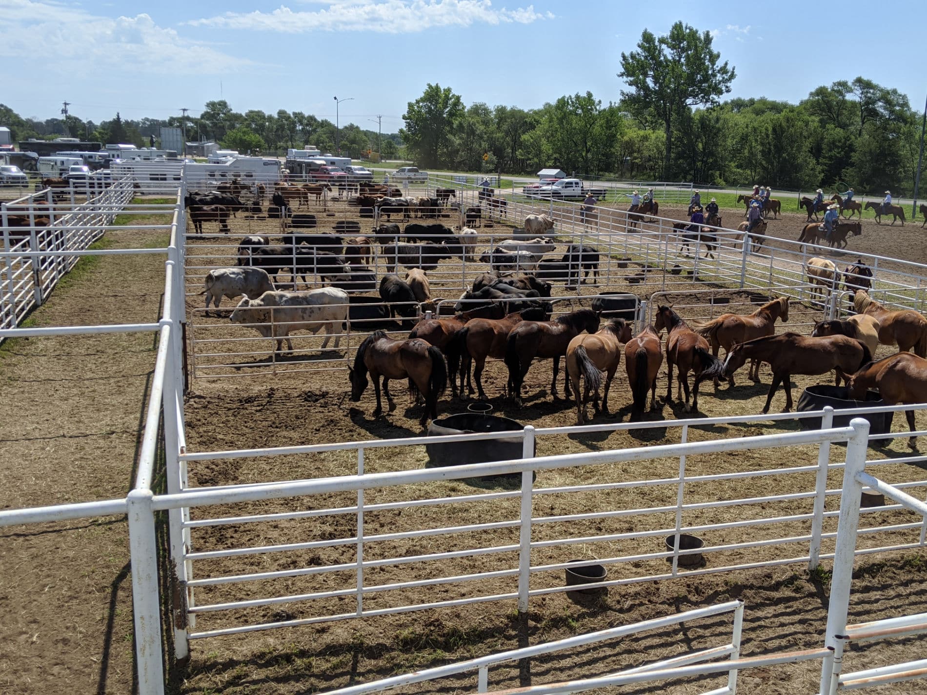YOUR SIDE OF THE FENCE: Buffalo Bill Rodeo upgrades, replaces fencing ...