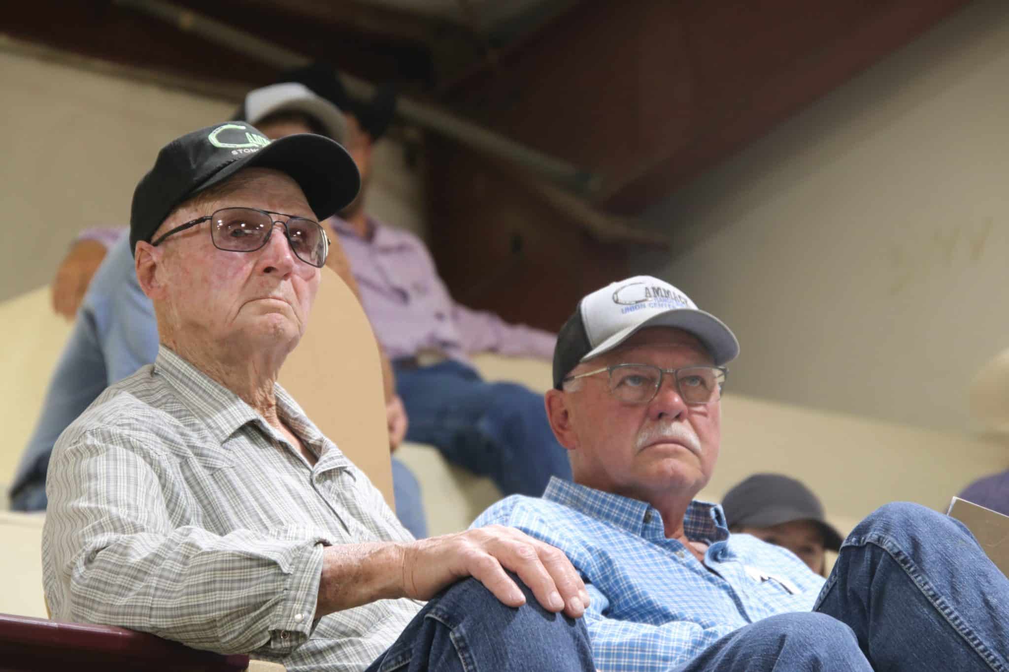 Wilken Angus Turnout Bull Sale | TSLN.com