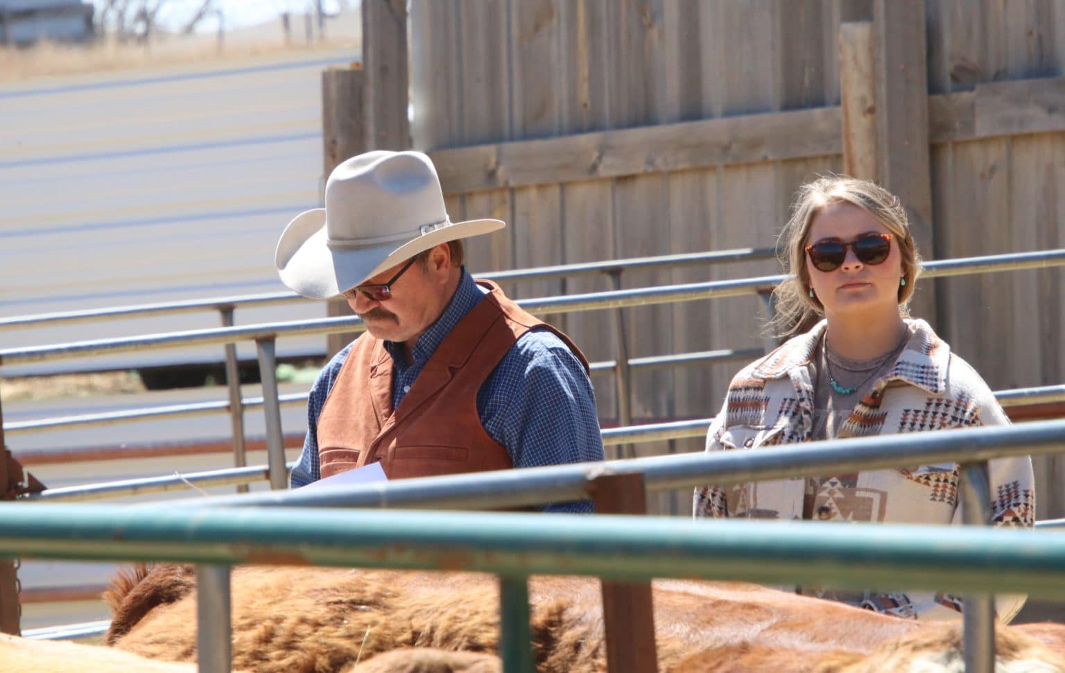 Wicks Cattle SimAngus Bull Sale | TSLN.com