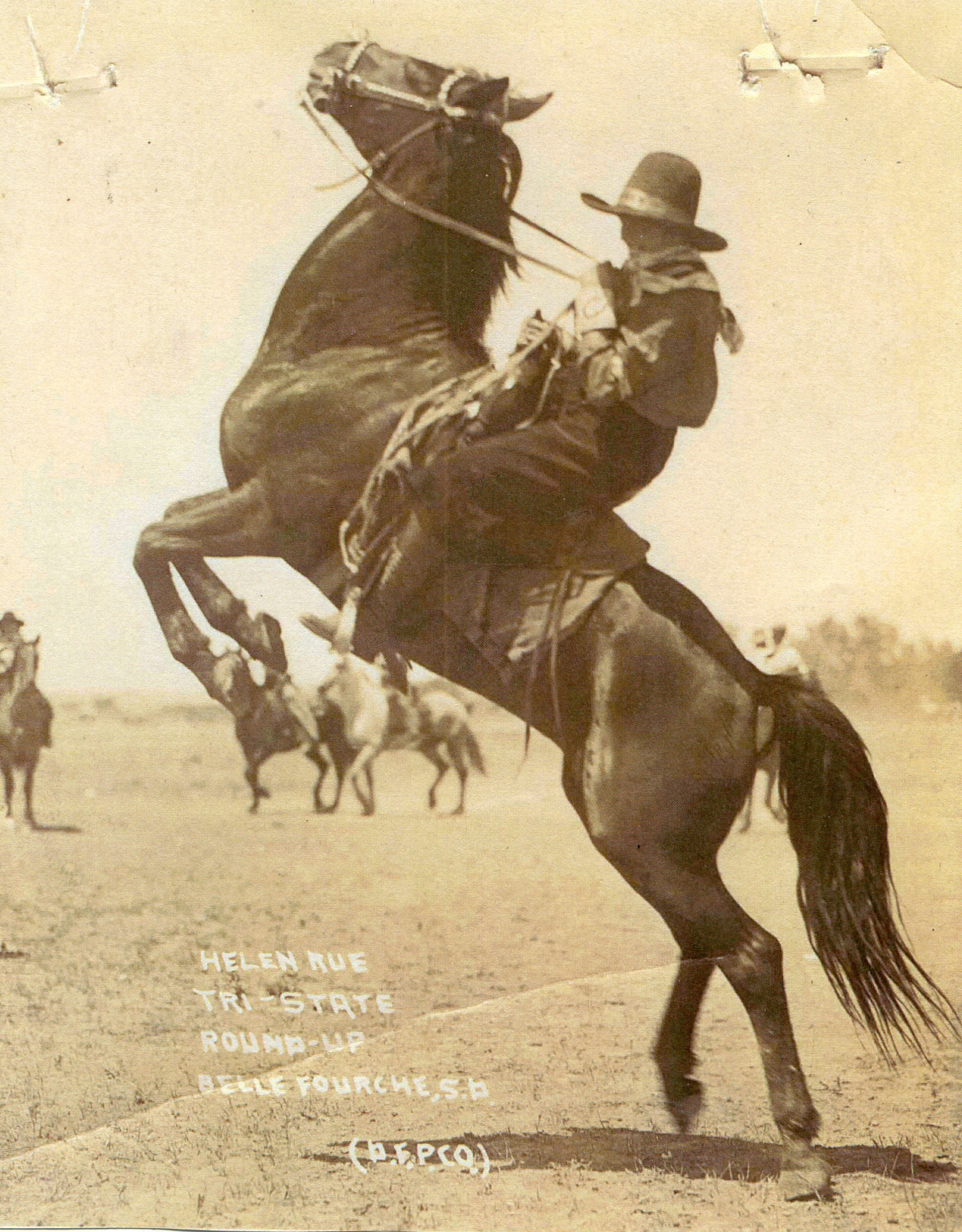 WHAT THE COWGIRLS DO | TSLN.com