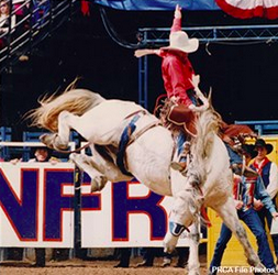 Two Rodeo Legends – Billy Etbauer and Cody Ohl – to be Honored as Vegas ...