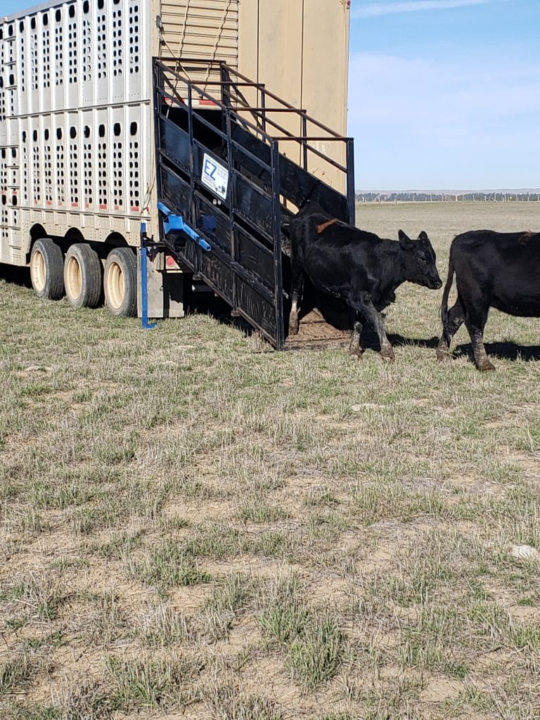 Ag Pride 2023 | EZ Load Chute | TSLN.com