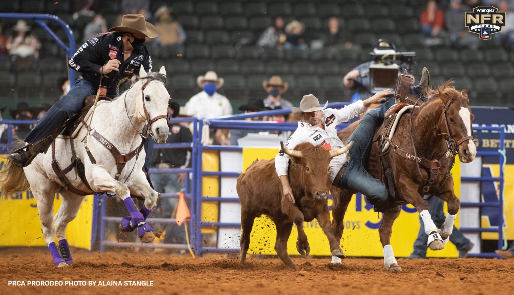 ND horse carries NFR steer wrestlers | TSLN.com