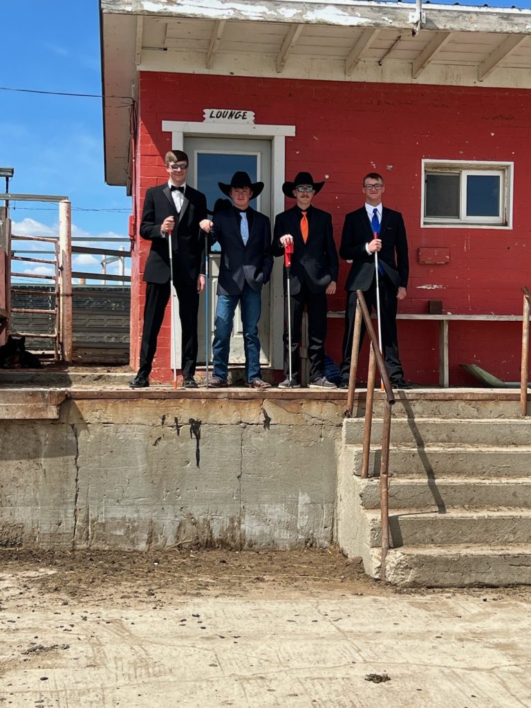 Winners, all four: High school students work hard at Winner Livestock ...