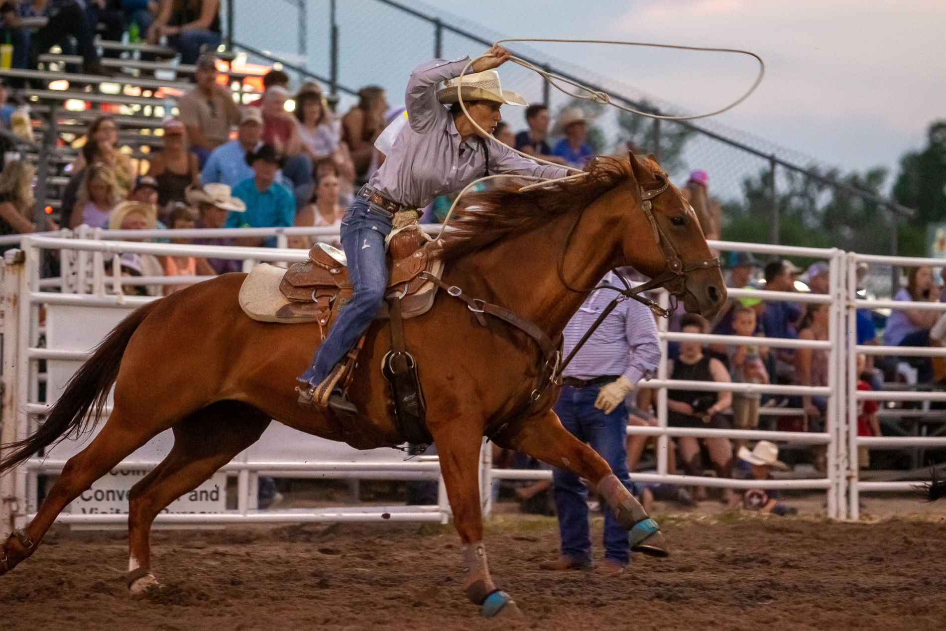 Learning the ropes: Last Chance Stampede adds women’s event to ...
