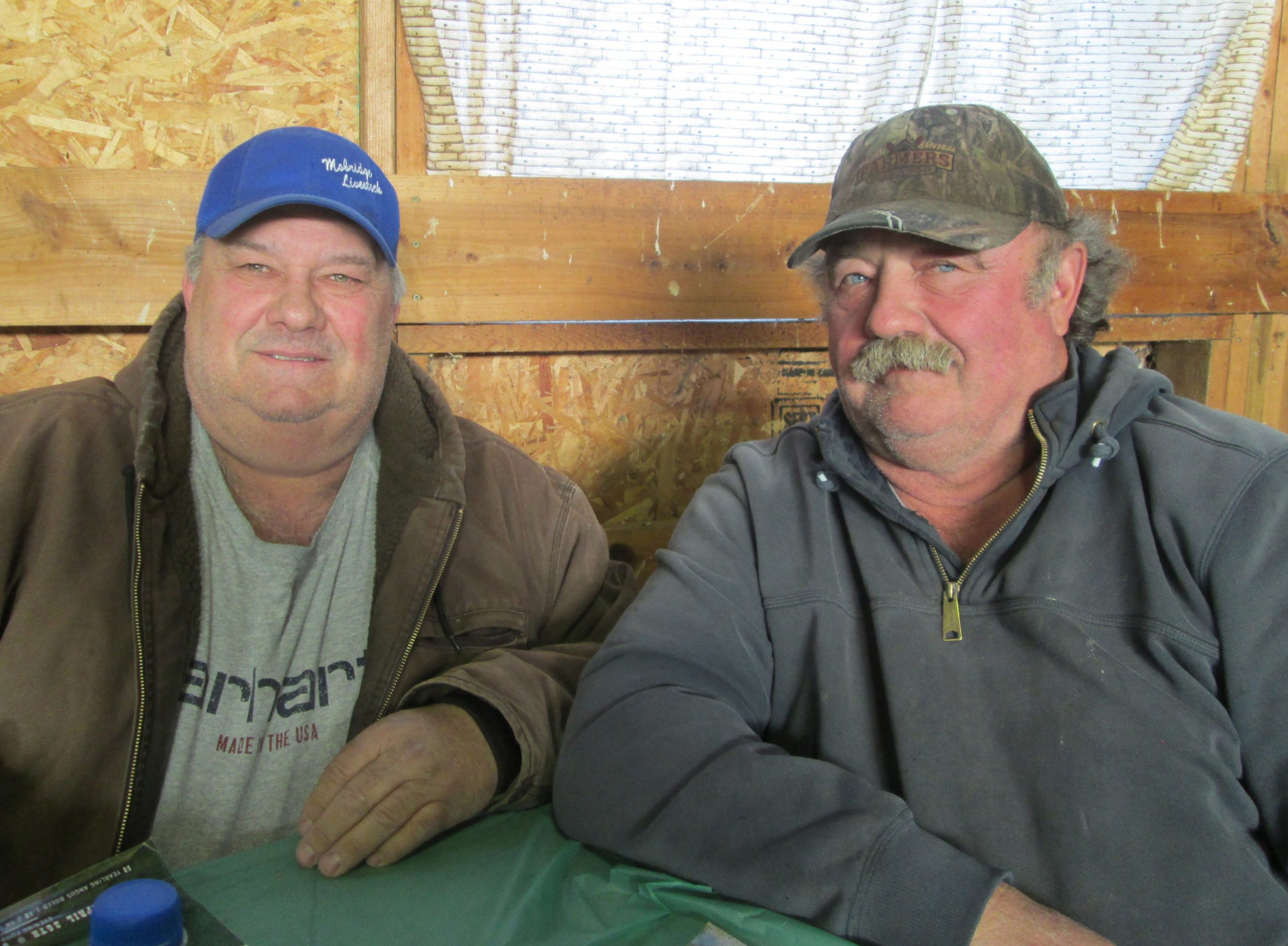 Baxter Angus: Follow the Trail to Superior Maternal Genetics | TSLN.com