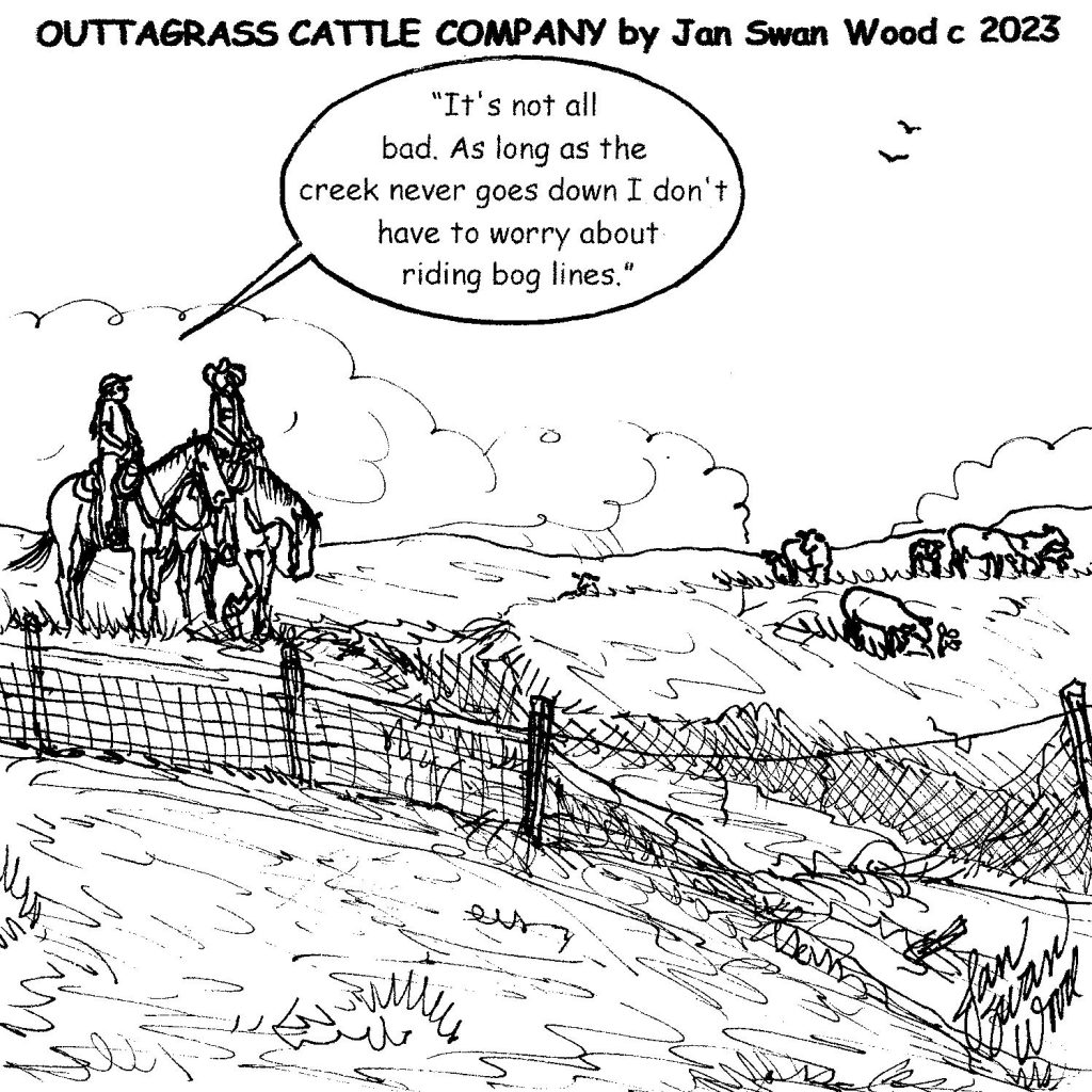 Outtagrass Cattle Co. cartoon by Jan Swan Wood | TSLN.com