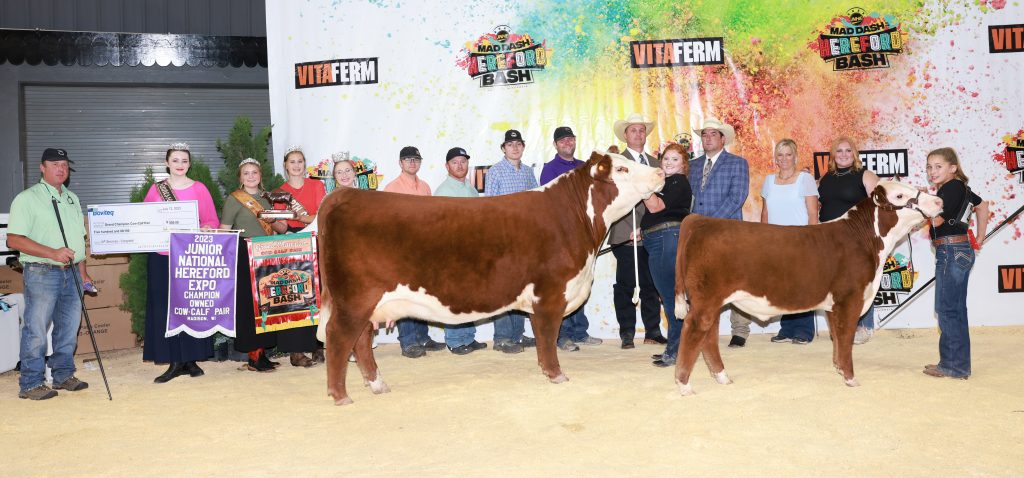 Effling’s Entry Shines During the JNHE Cow-Calf Pair Show | TSLN.com