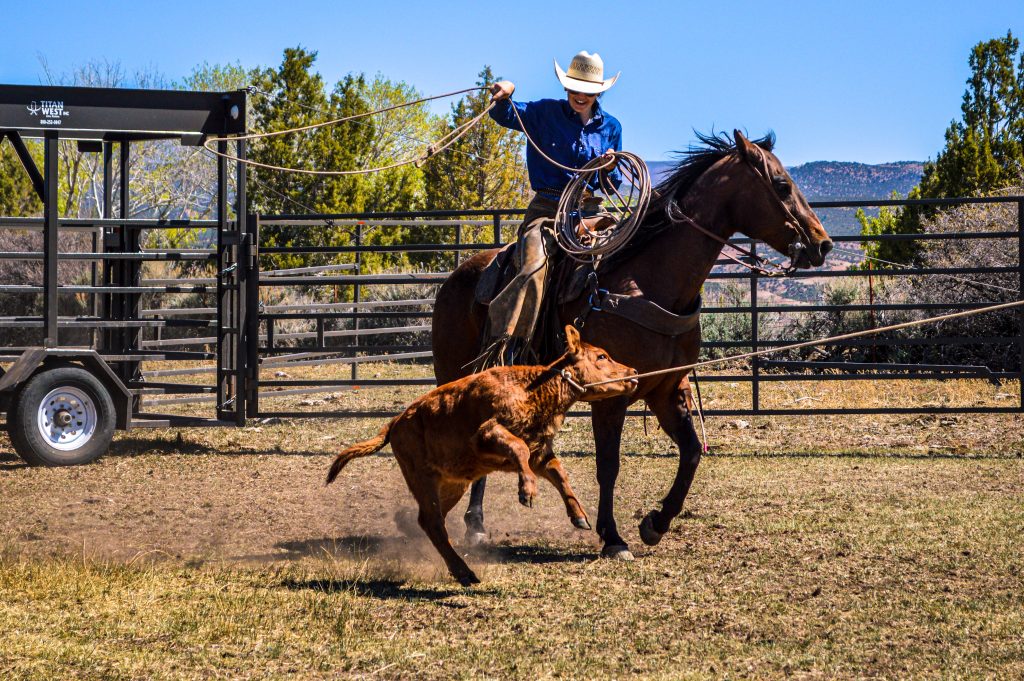 Horse Roundup 2023 | Sole Woman Steer Ropes at CNFR | TSLN.com