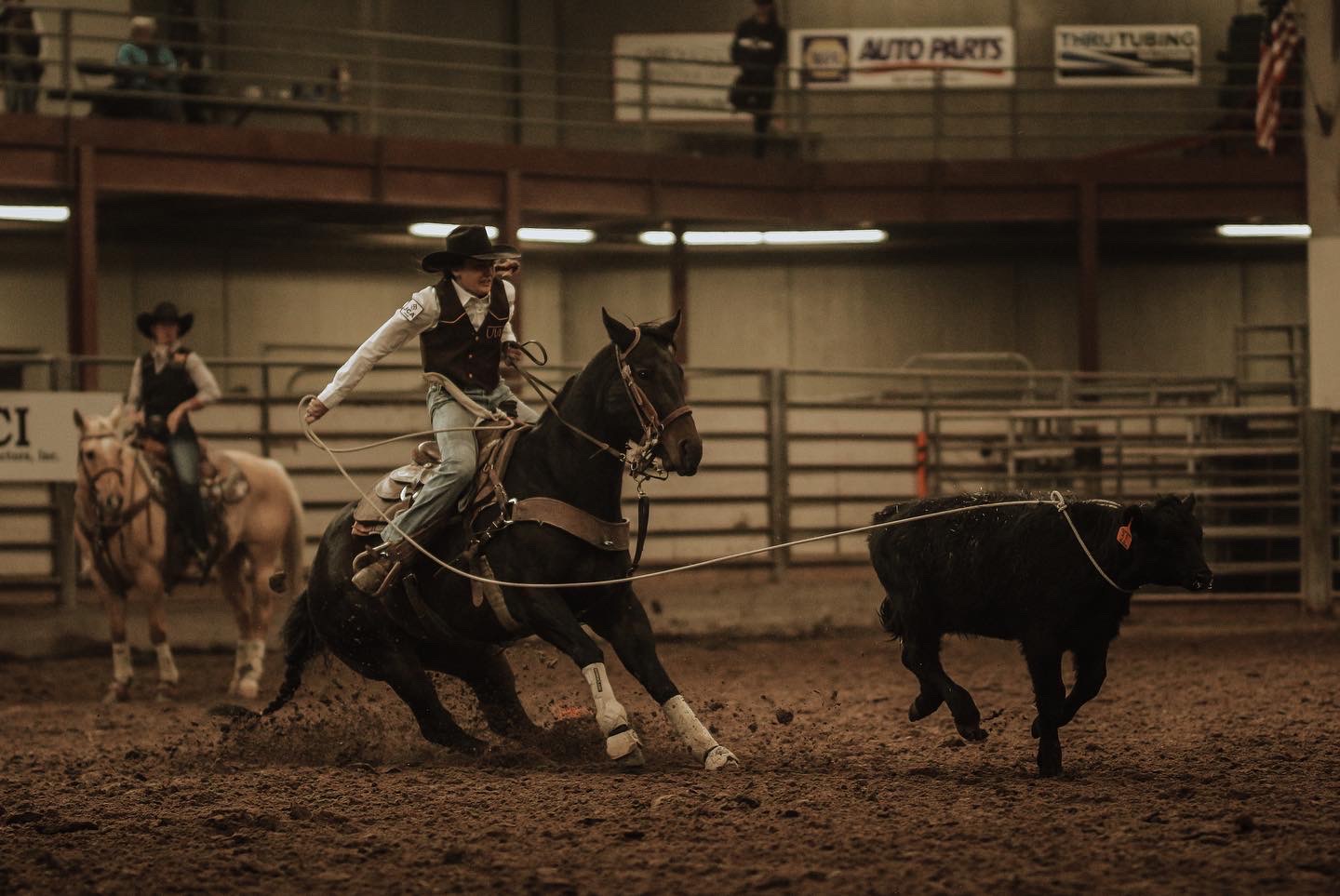 Horse Roundup 2023 | Sole Woman Steer Ropes at CNFR | TSLN.com