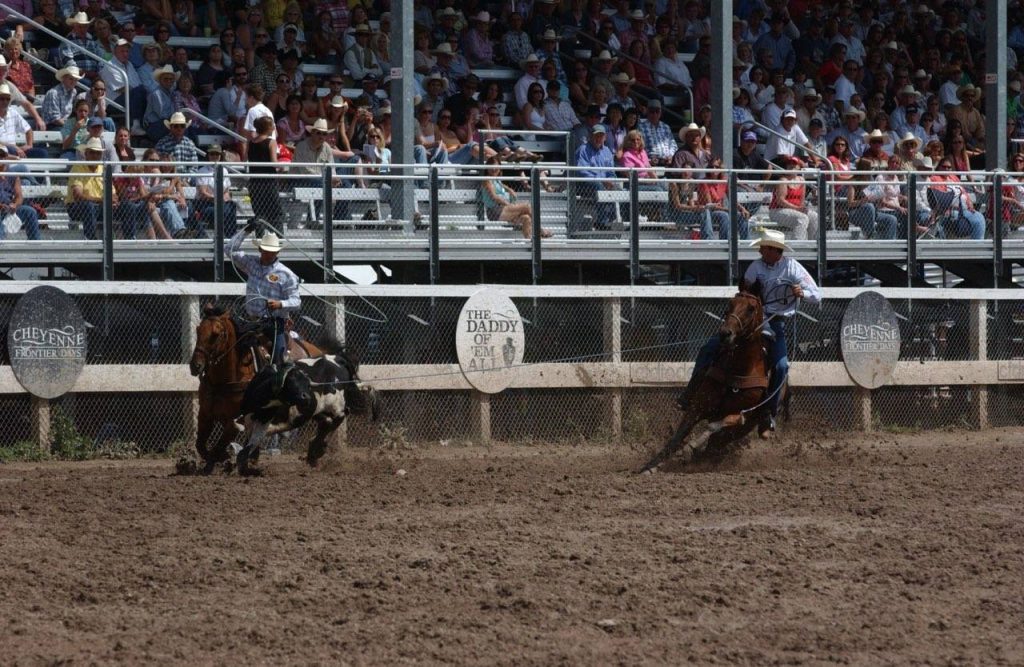 Horse Roundup 2023 | A Horse Named Walt | TSLN.com