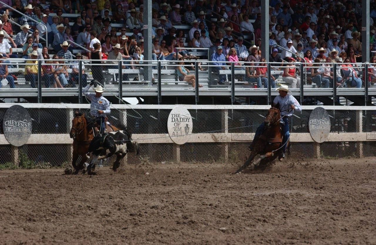 Horse Roundup 2023 | A Horse Named Walt | TSLN.com