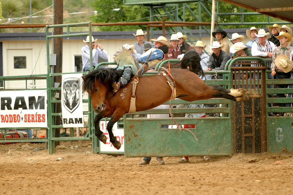 Horse Roundup 2023 | Made in the Arena: JR Vezain Competing Again ...